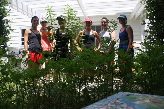 Running, Eating and Celebrating - Peanut Butter Runner