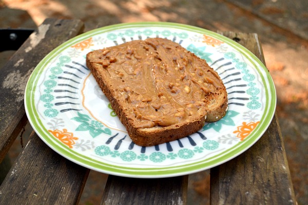 A Sad Dinner And A Happy Dessert - Peanut Butter Runner