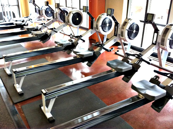 Cardio, Glute & Core Workout with Rowing, Deadlifts & BOSU