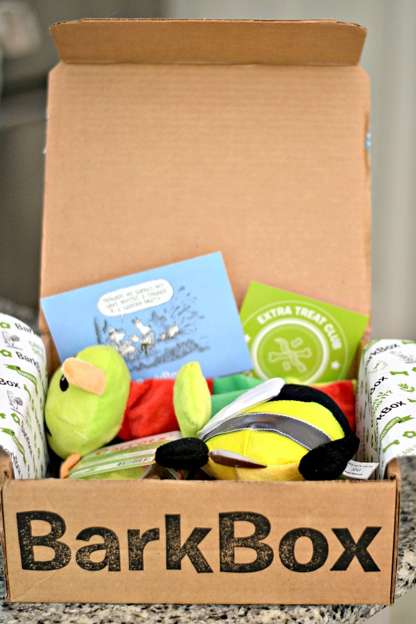 Sullie and Zoey's First BarkBox