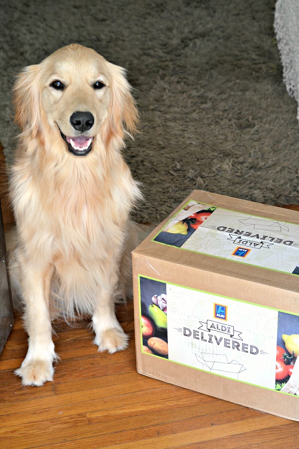ALDI Delivered to my Doorstep