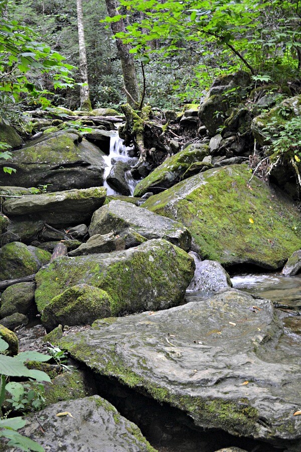 Profile Trail Hike on Grandfather Mountain to Calloway Peak