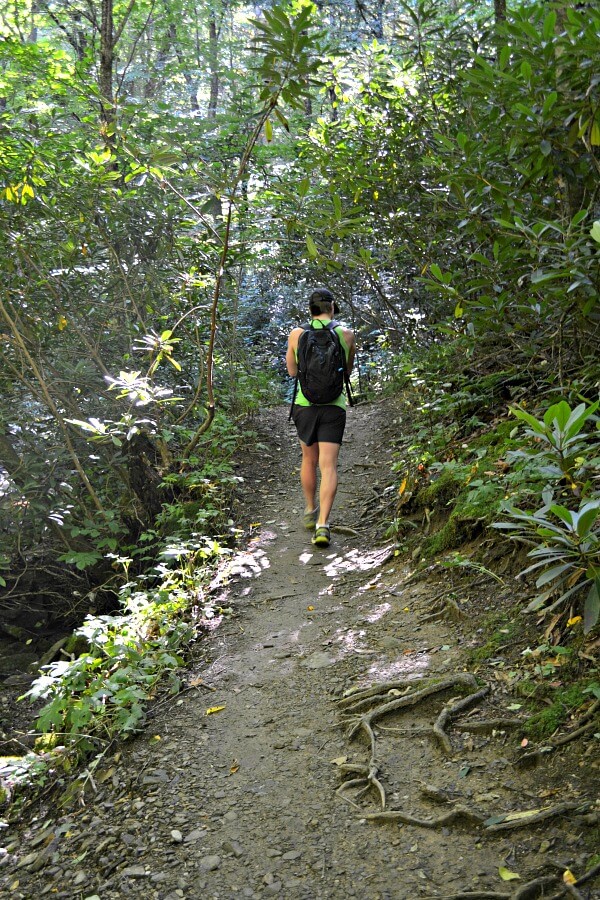 Profile Trail Hike on Grandfather Mountain to Calloway Peak