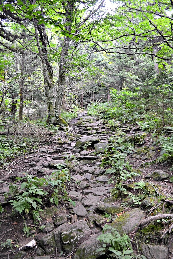 Profile Trail Hike on Grandfather Mountain to Calloway Peak