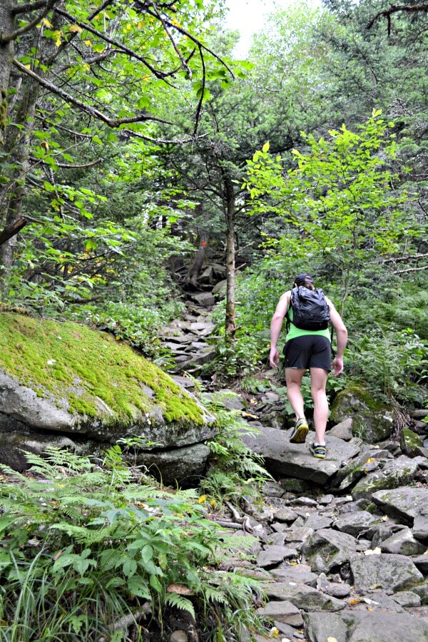 Profile Trail Hike on Grandfather Mountain to Calloway Peak
